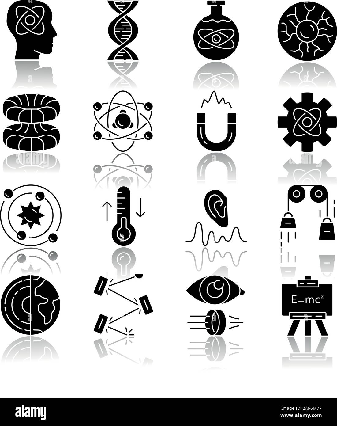 Physics branches drop shadow black glyph icons set. Physical processes ...