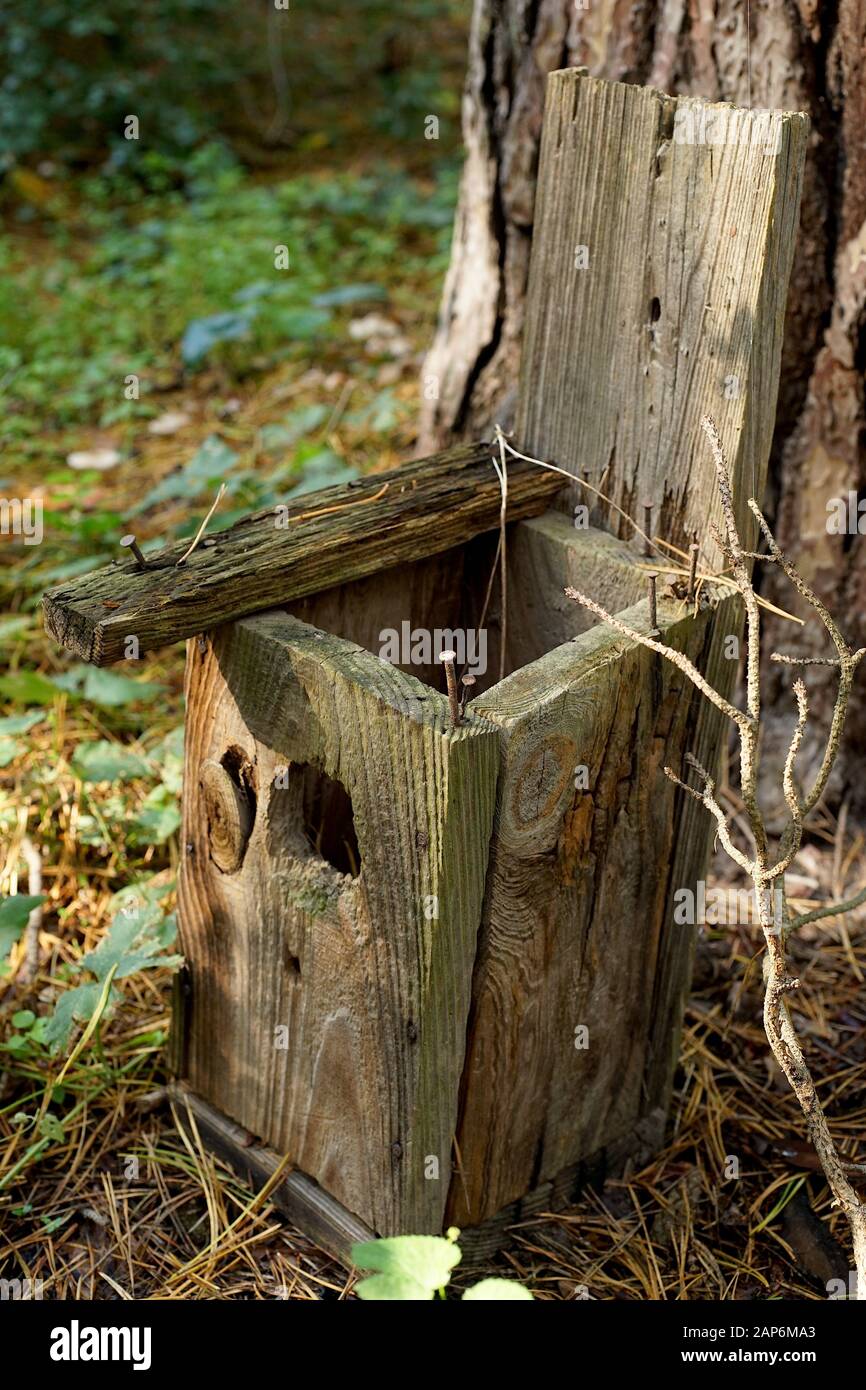 old, destroyed bird nesting box Stock Photo - Alamy