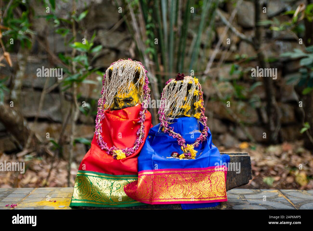 A traditional sacred grove where serpents are worshipped Stock Photo ...