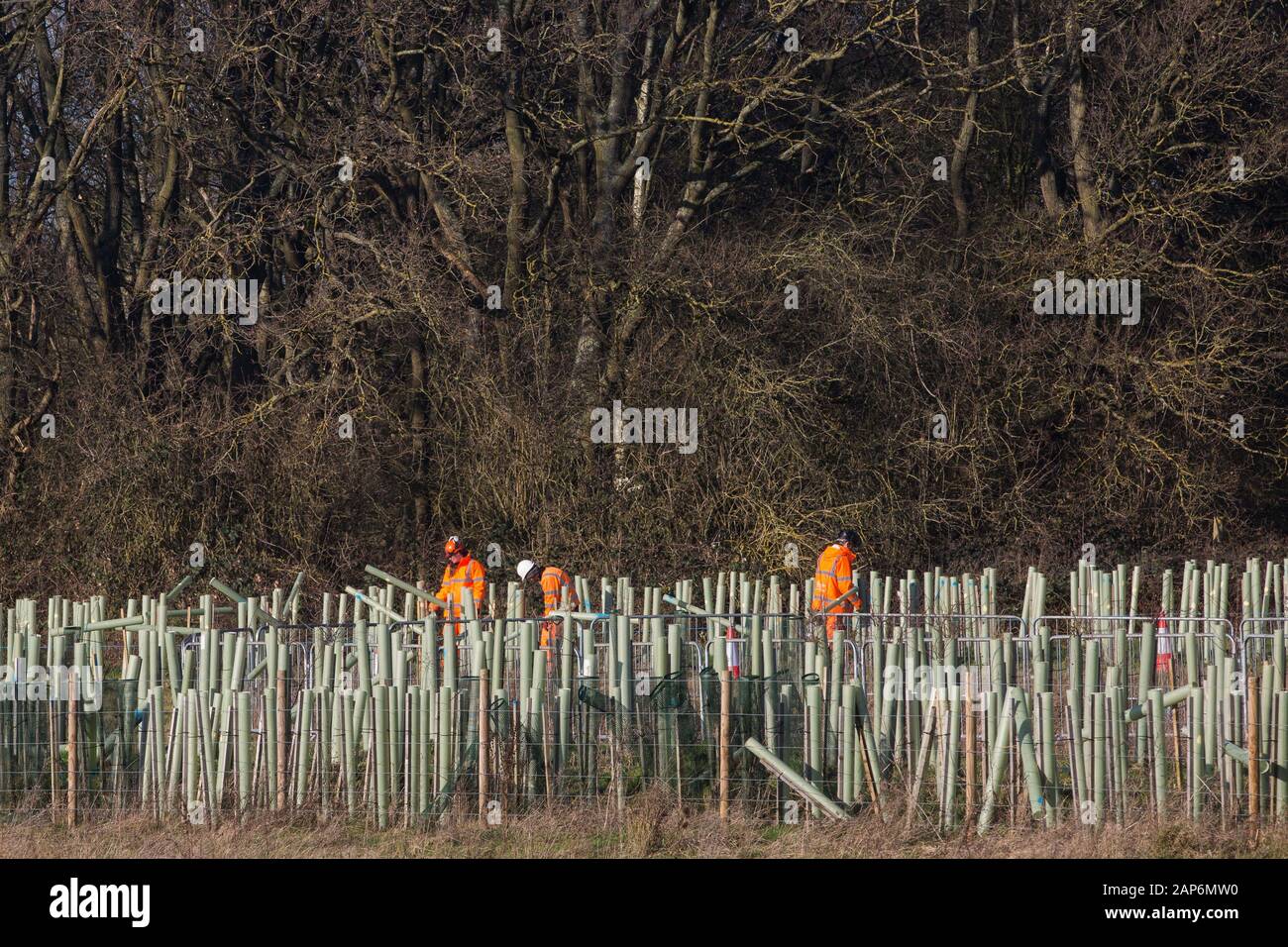 Hs2 mitigation hi-res stock photography and images - Alamy