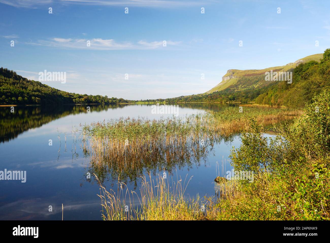 Reeds irish lough hi-res stock photography and images - Alamy