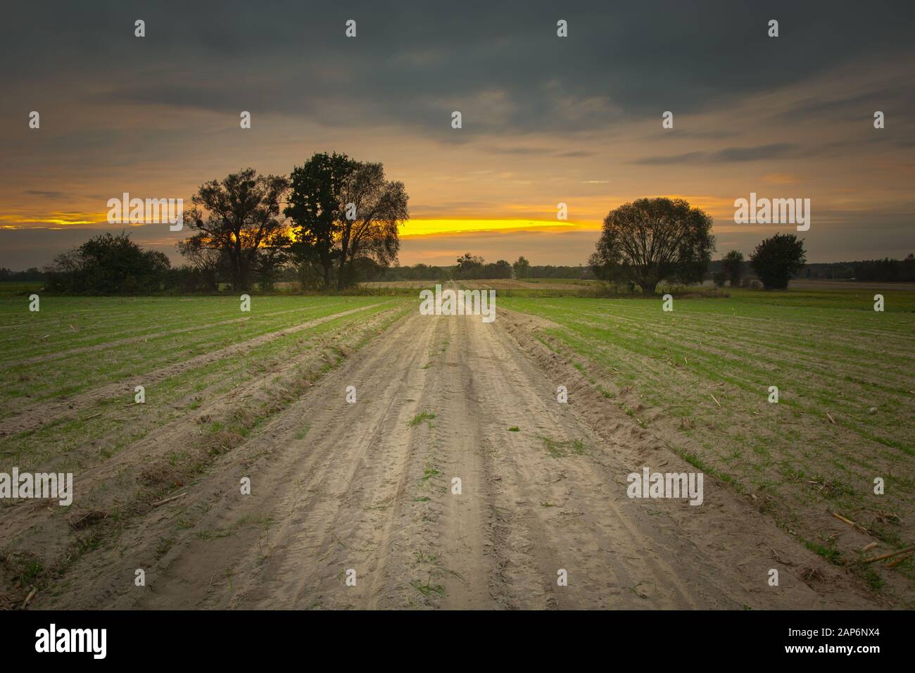 Beautiful countryside road sunset clouds hi-res stock photography and ...