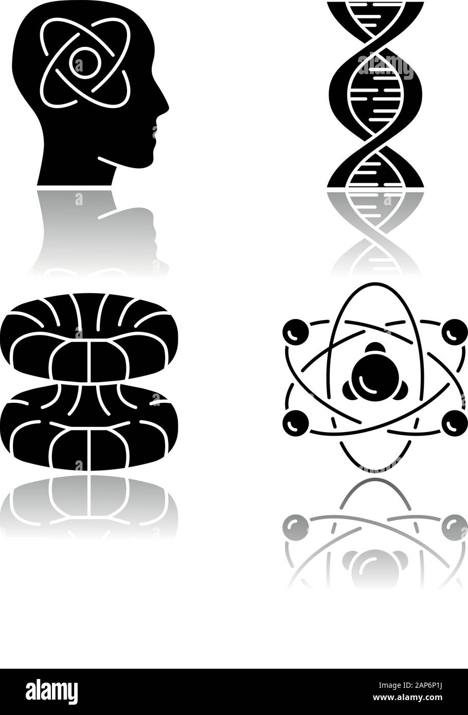 Physics branches drop shadow black glyph icons set. Neurophysics ...