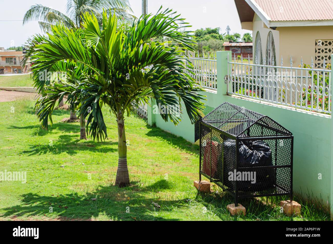 Palm Tree Beside Garbage Bin Stock Photo - Alamy
