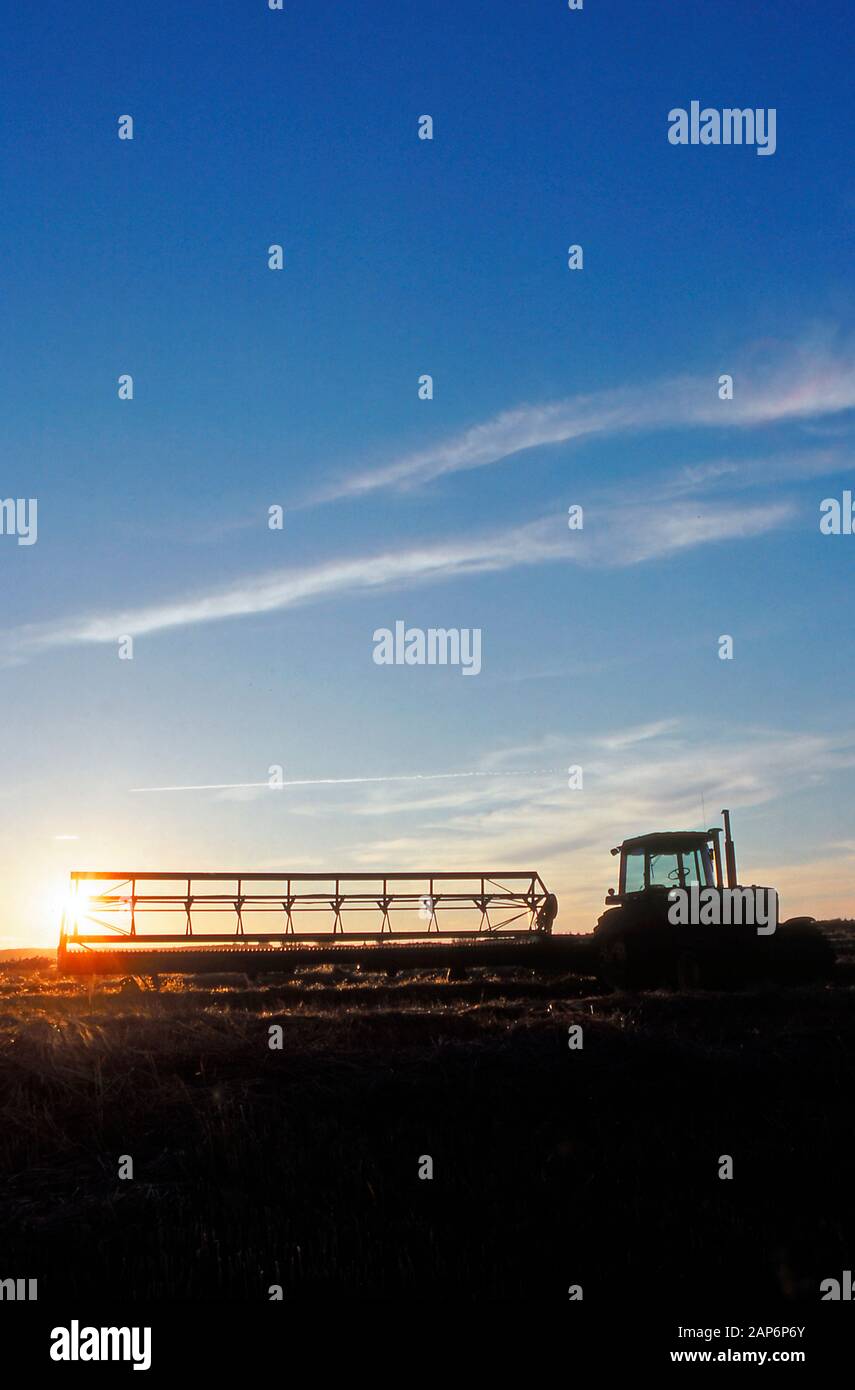 Landscape threshing grain combine hi-res stock photography and images ...