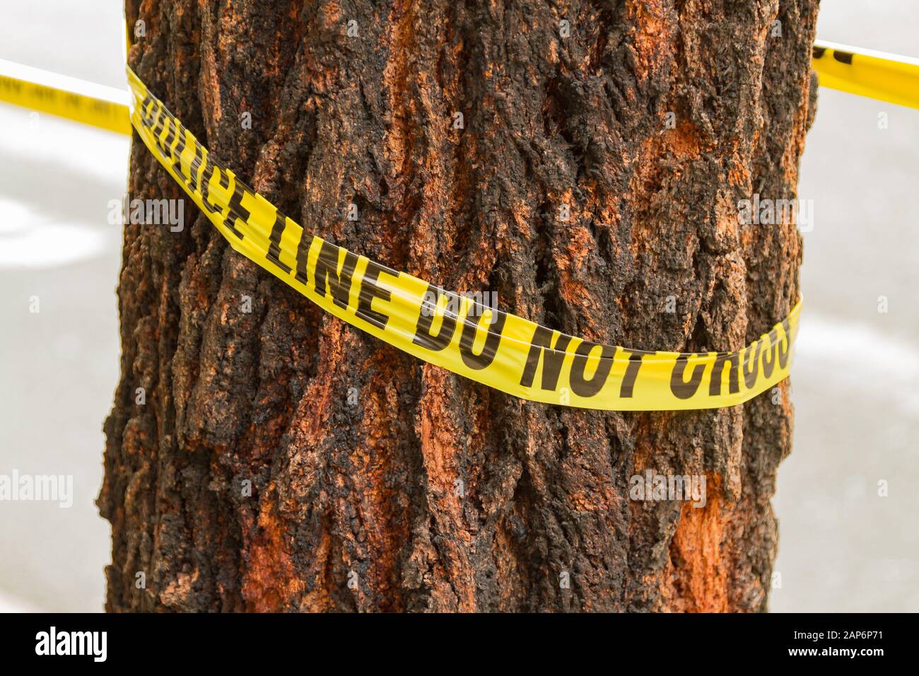 Crime police cross hi-res stock photography and images - Alamy