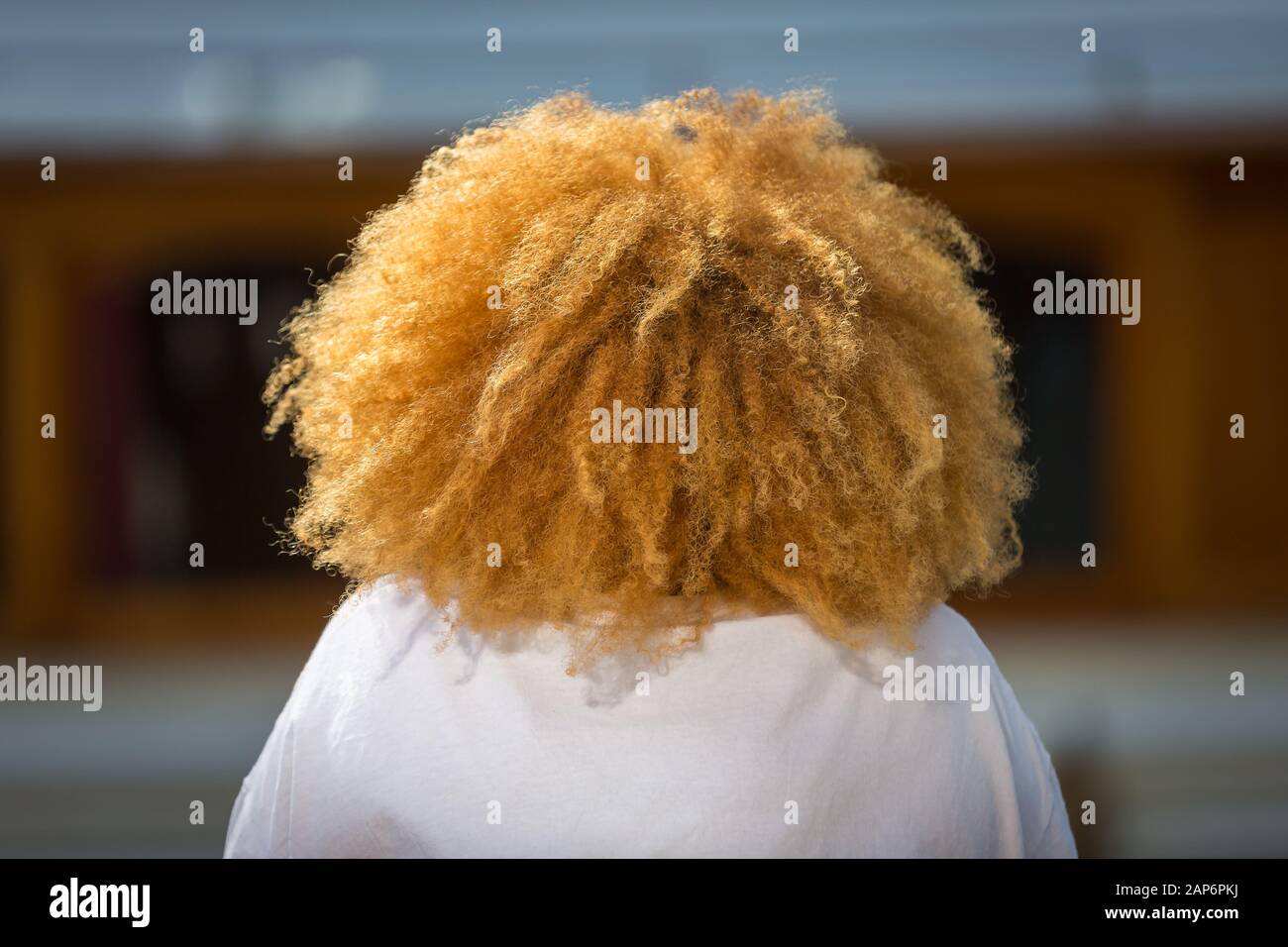 Ginger Afro style hair backside Stock Photo - Alamy