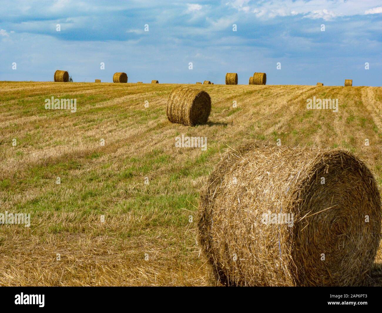 Rolls of hay hi-res stock photography and images - Alamy