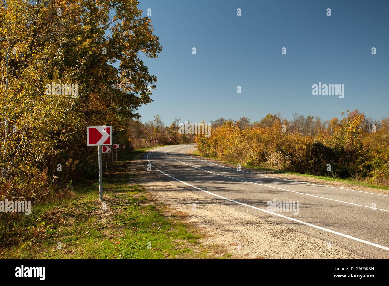 Empty road in forest landscape Stock Photo - Alamy