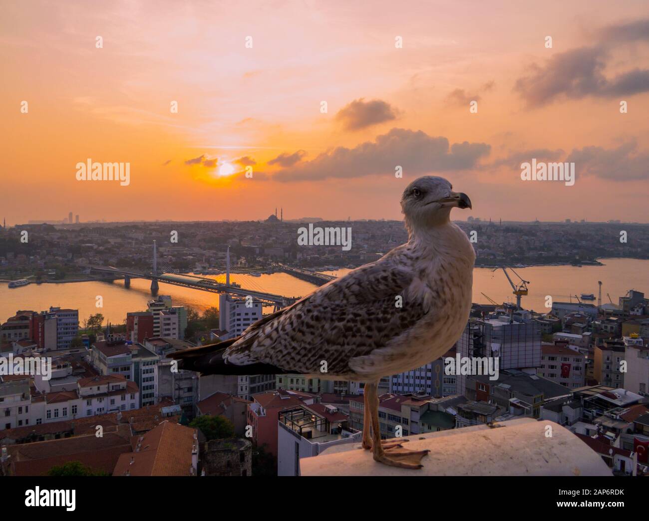 Aerial view of istanbul hi-res stock photography and images - Alamy