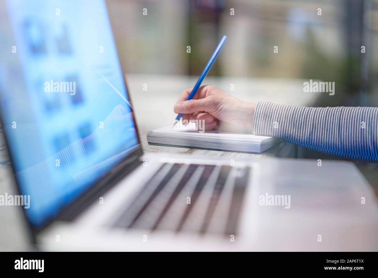 Closeup of hand woman writing working with a pen on a document, close ...