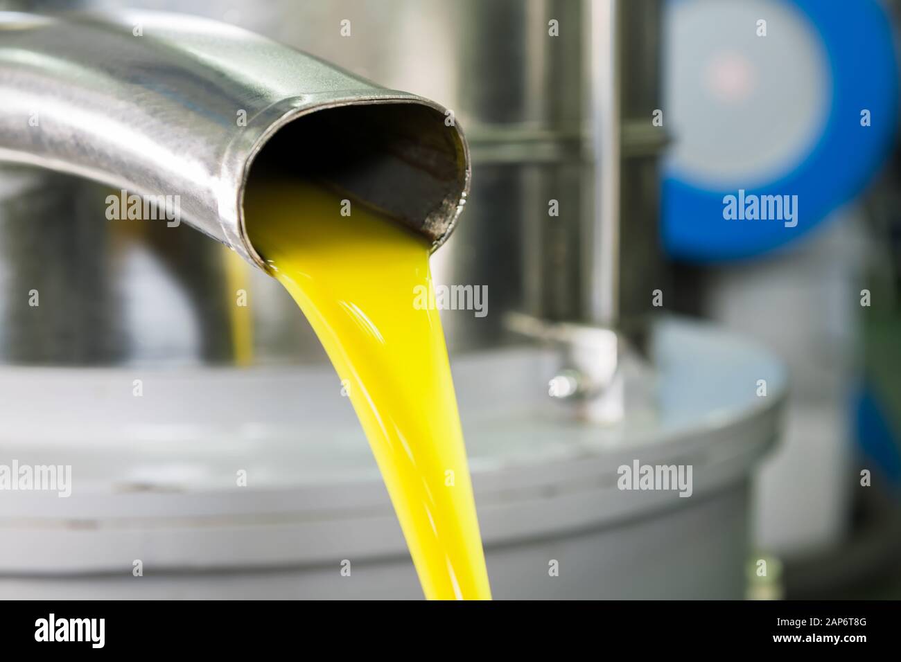 Ecological extra virgin olive oil production with modern technology ...
