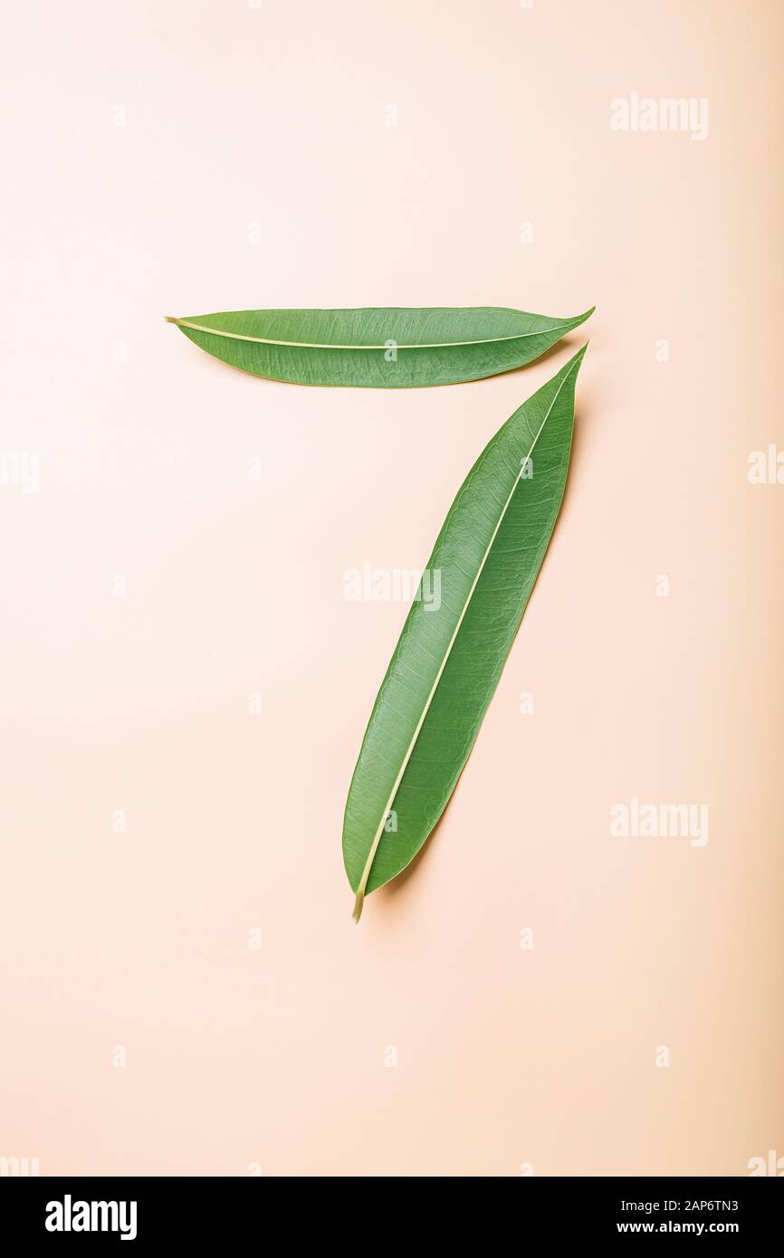 Number 7 leaves hi-res stock photography and images - Alamy
