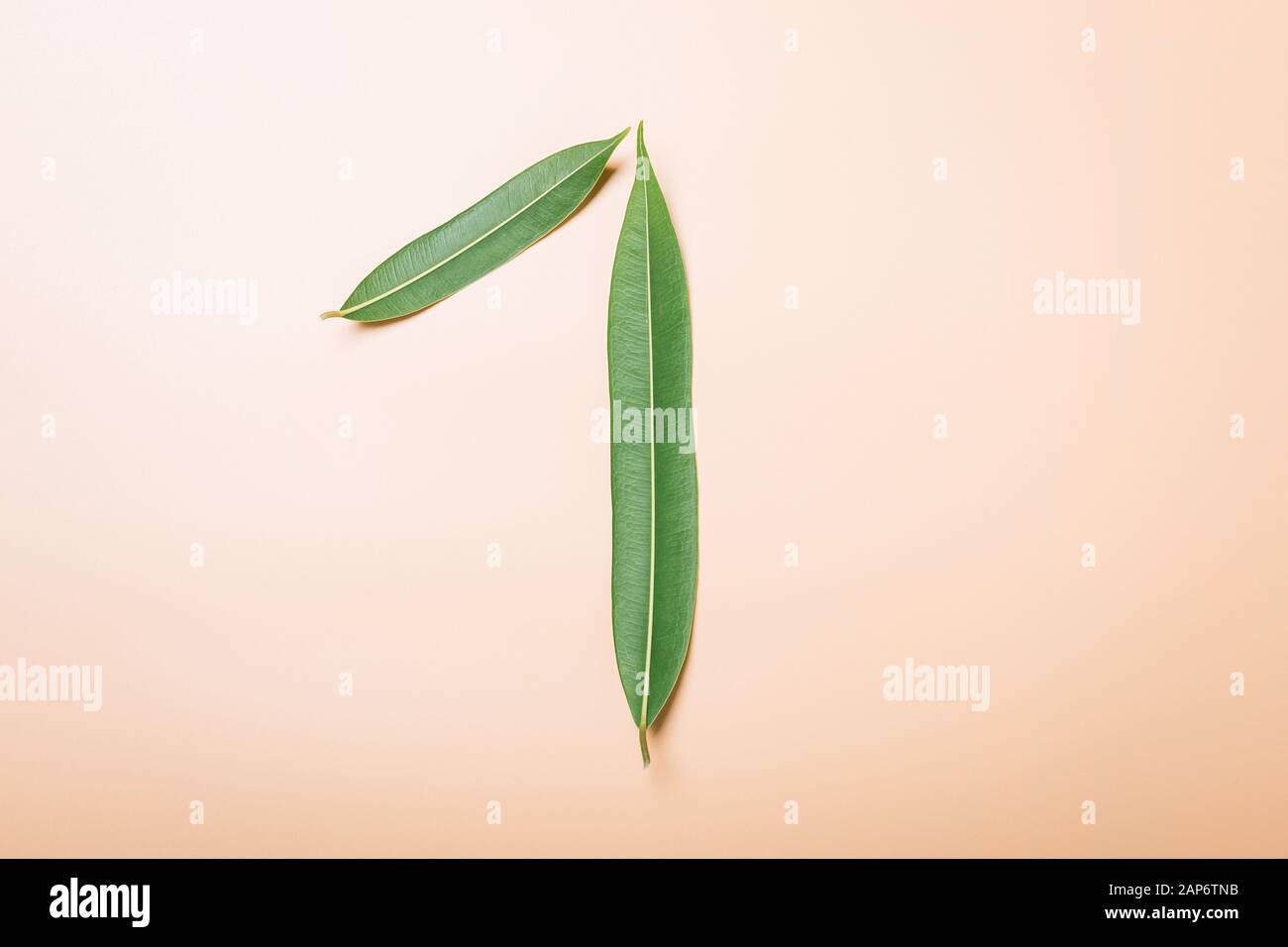 Green leaves ecology letter alphabet hi-res stock photography and ...