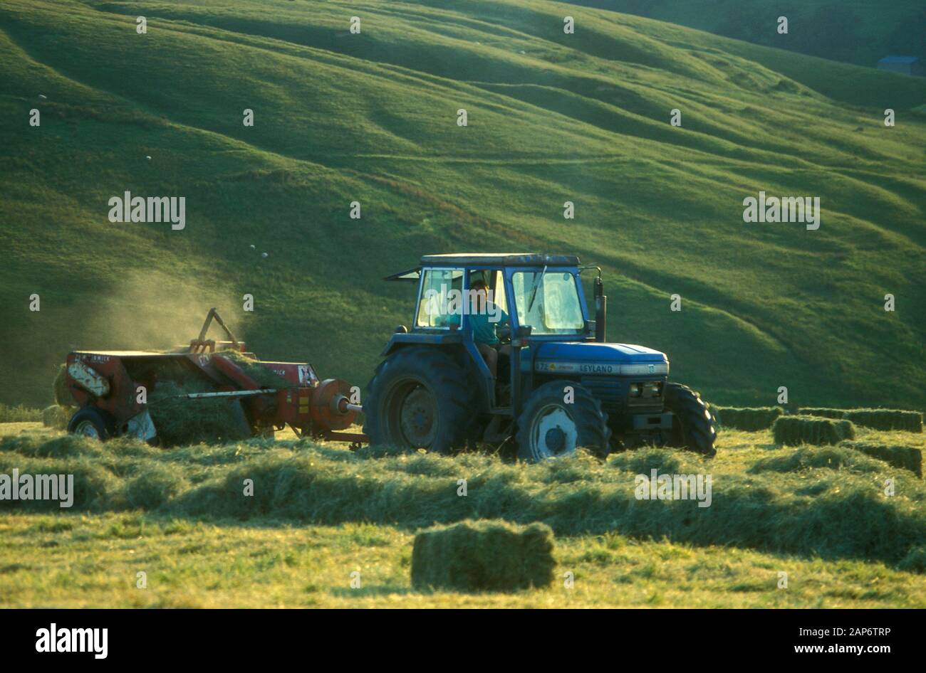 Farmer baling hay with a Leyland 472 tractor and an International baler ...