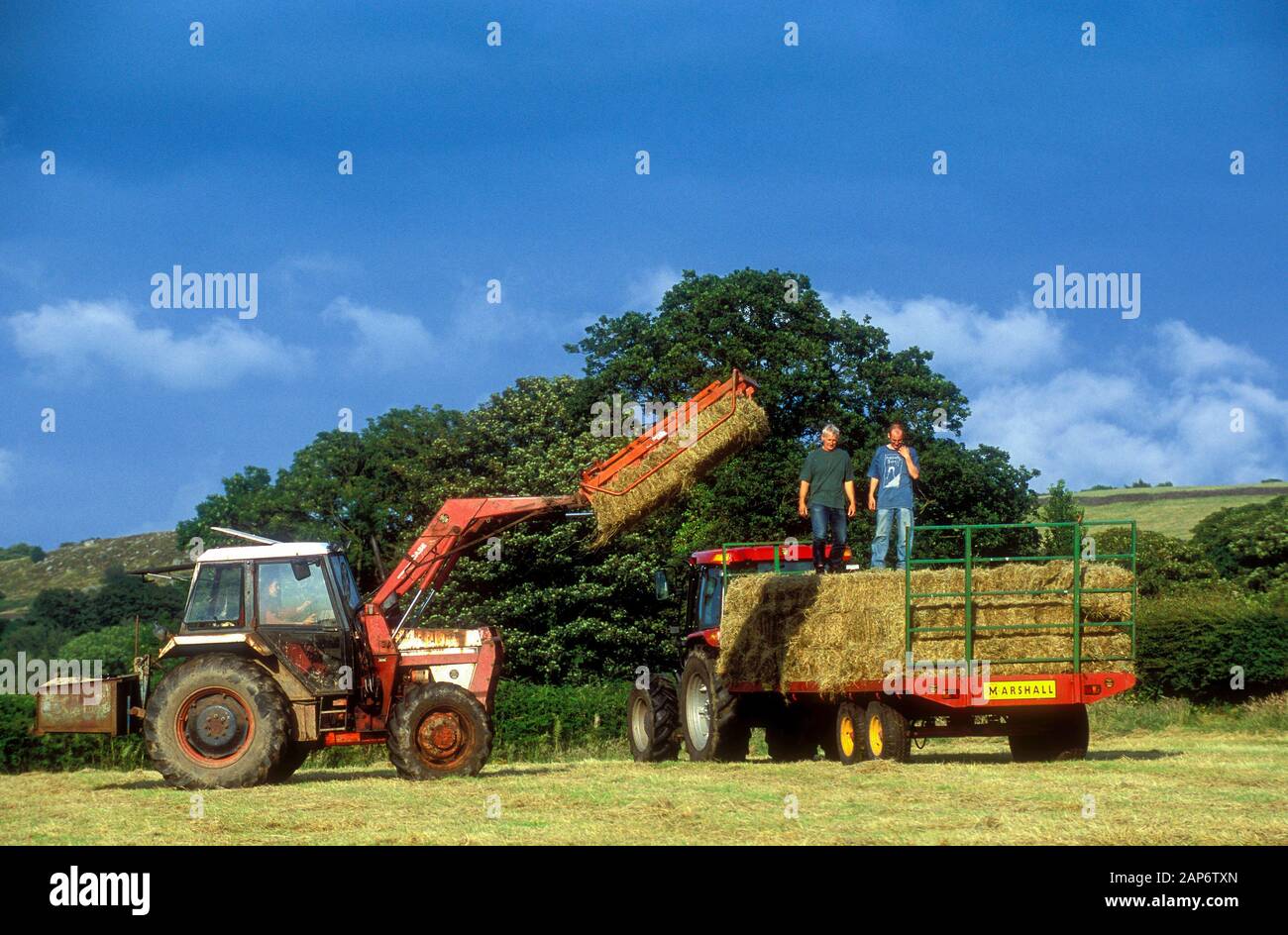 Loading a trailer in a hay meadow using a flat 8 system on a loader ...