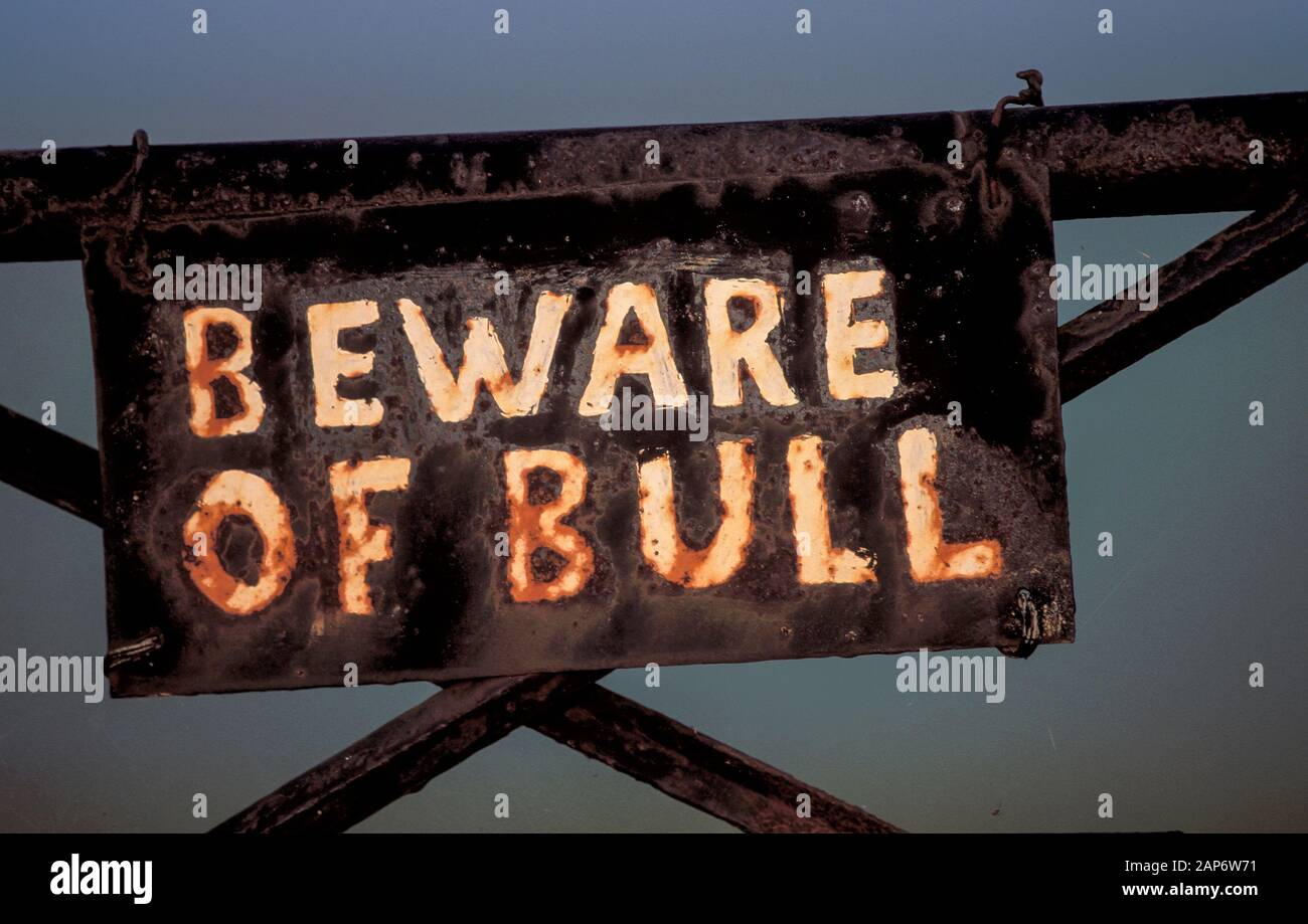 Beware of Bull warning sign on field gate Stock Photo - Alamy