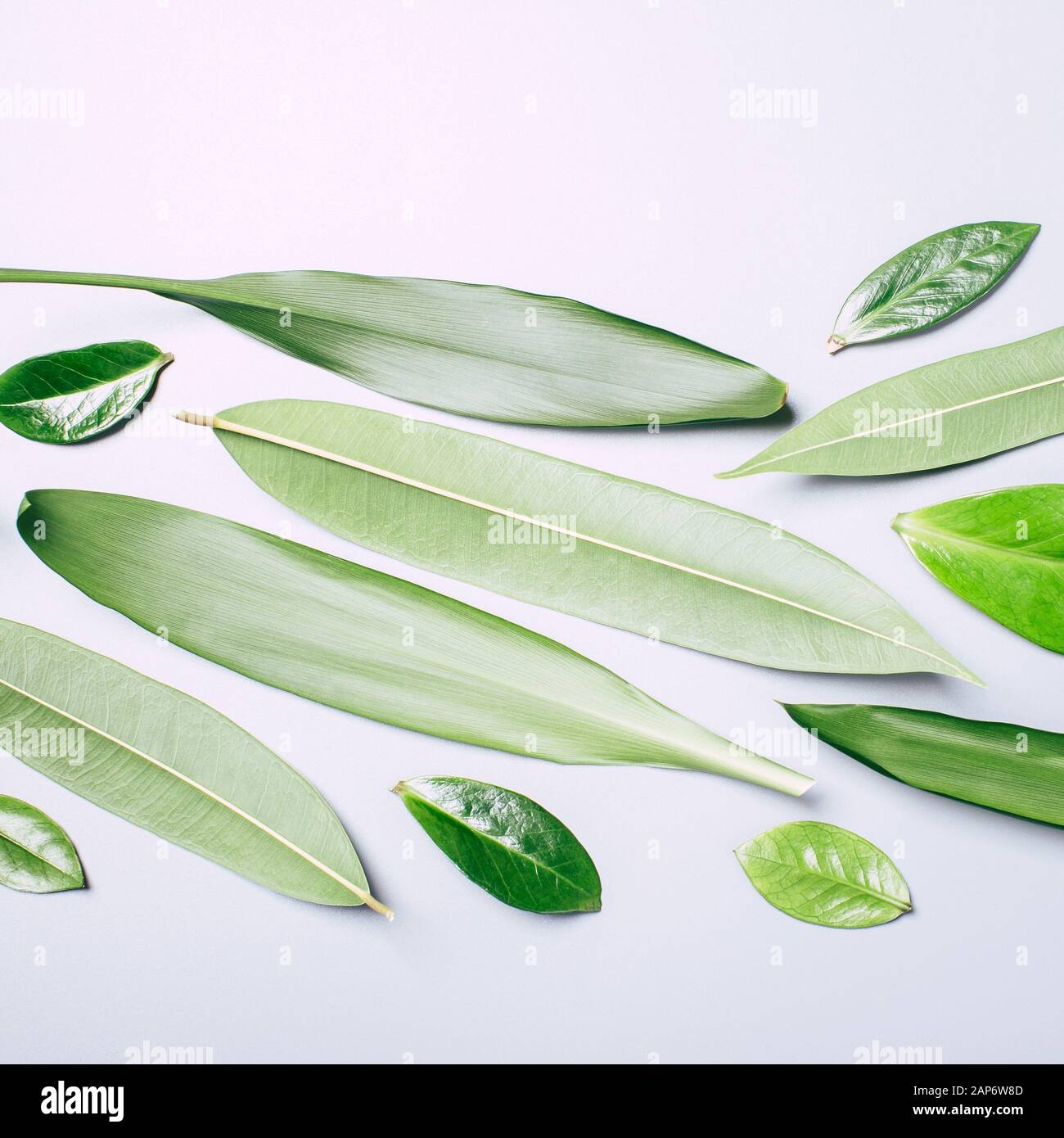 Nature flatlay hi-res stock photography and images - Alamy