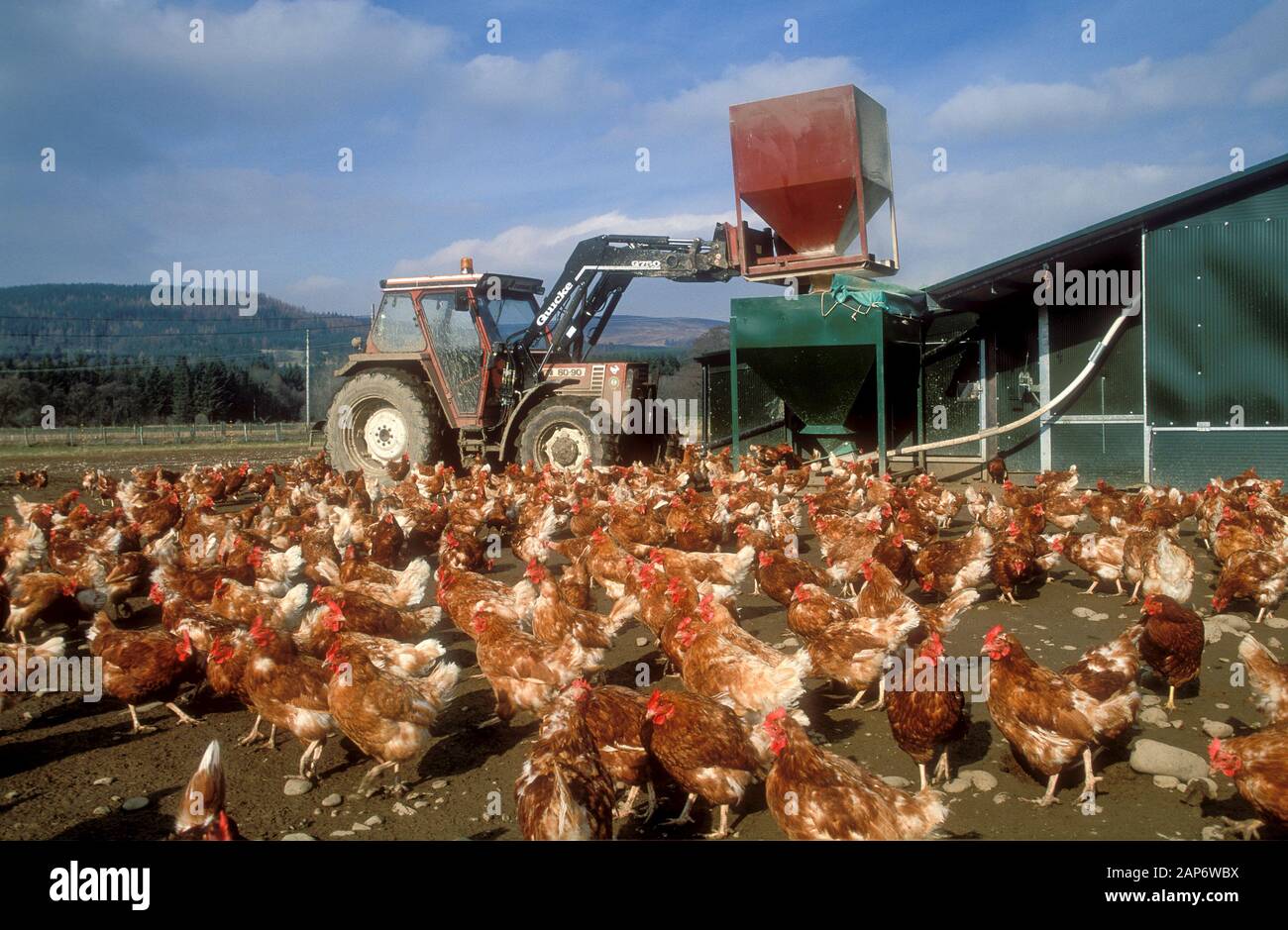Poultry unit countryside hi-res stock photography and images - Alamy