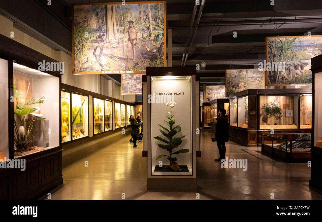 Chicago, USA. 20th Jan, 2020. People visit an exhibition on North ...