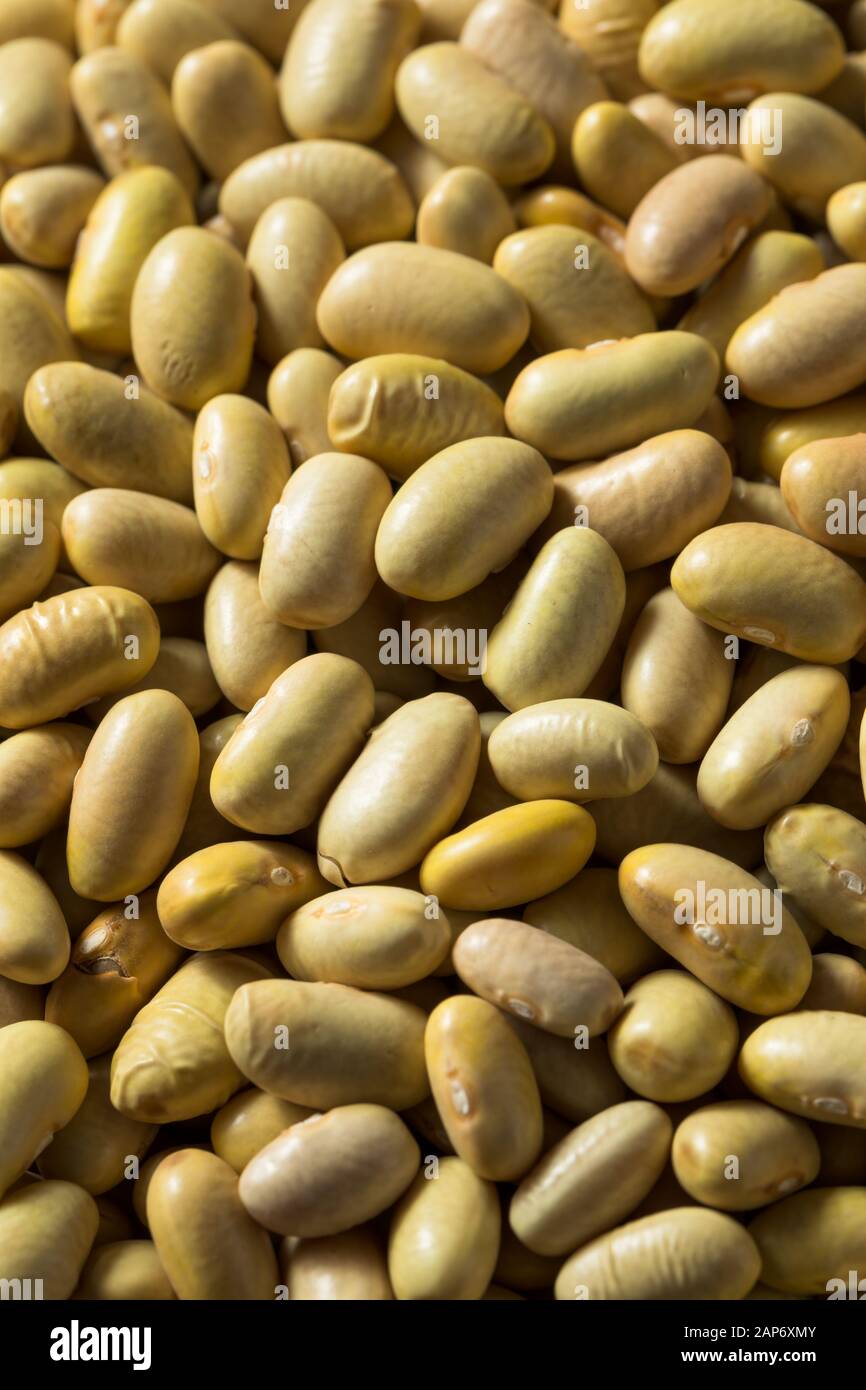 Raw Yellow Organic Perruano Beans in a Bowl Stock Photo - Alamy