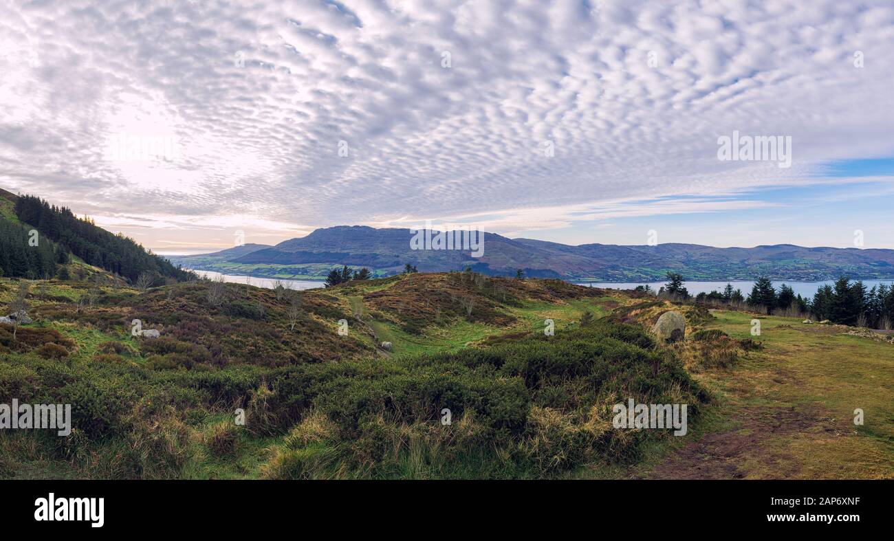 Green Fields Of Ireland High Resolution Stock Photography and Images ...