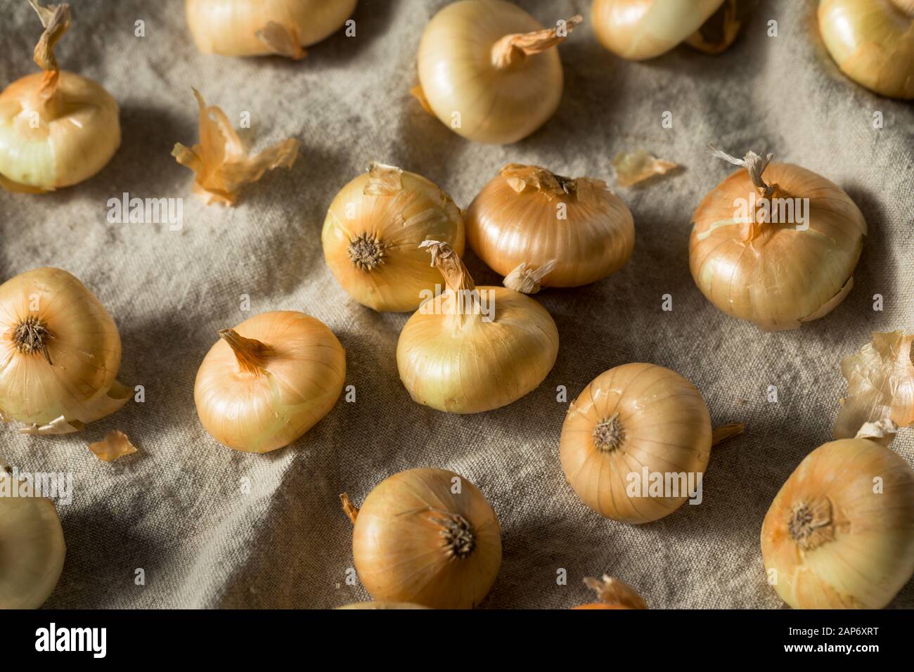 Raw Yellow Organic Cipolline Onions Ready to Cook Stock Photo - Alamy