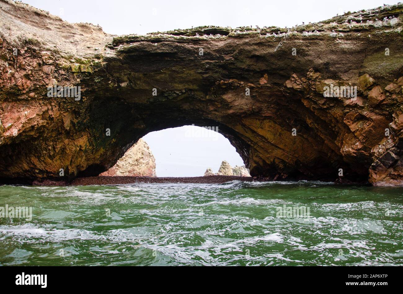 Nature reserve paracas hi-res stock photography and images - Alamy