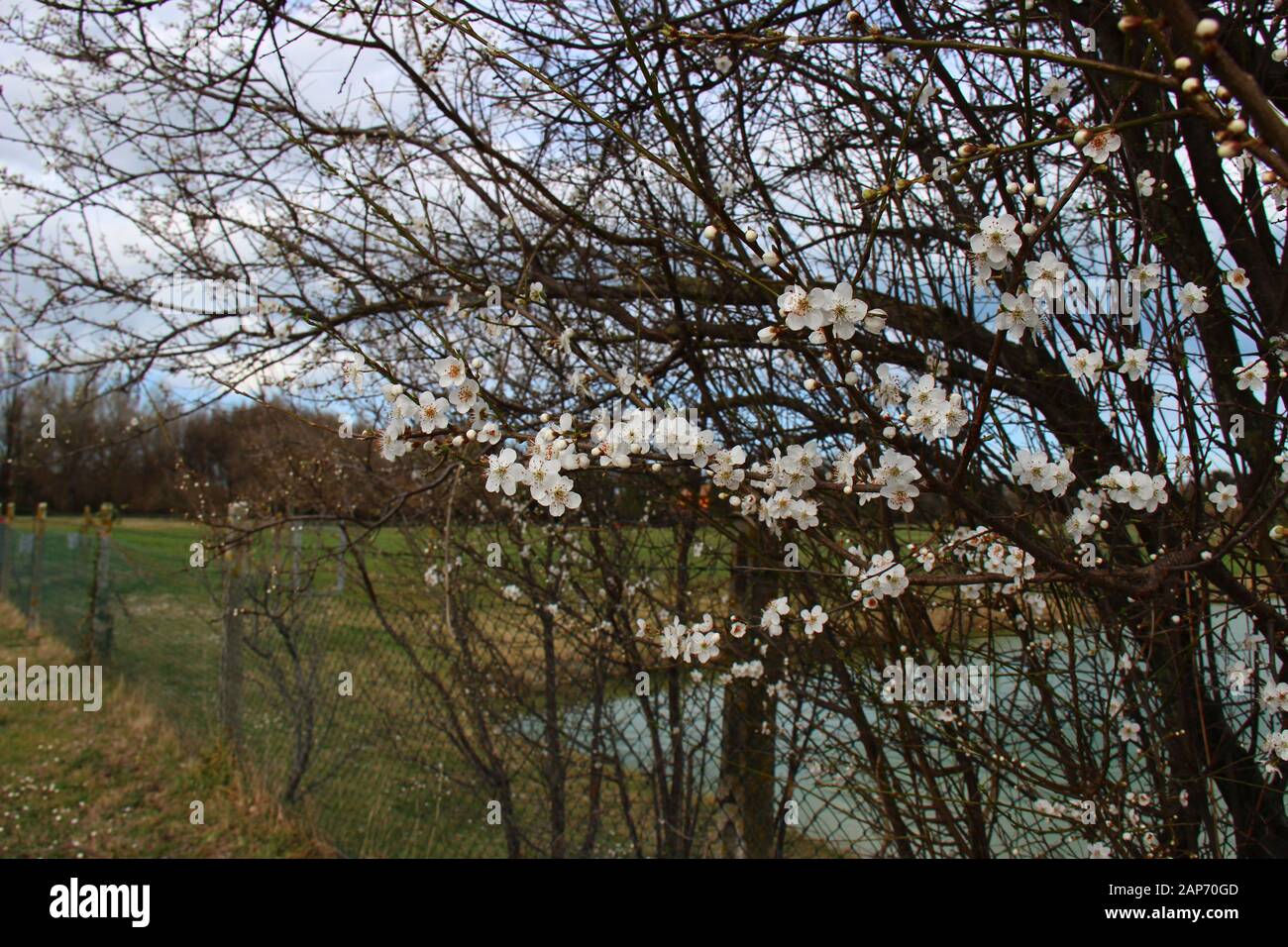 Stagione primavera hi-res stock photography and images - Alamy