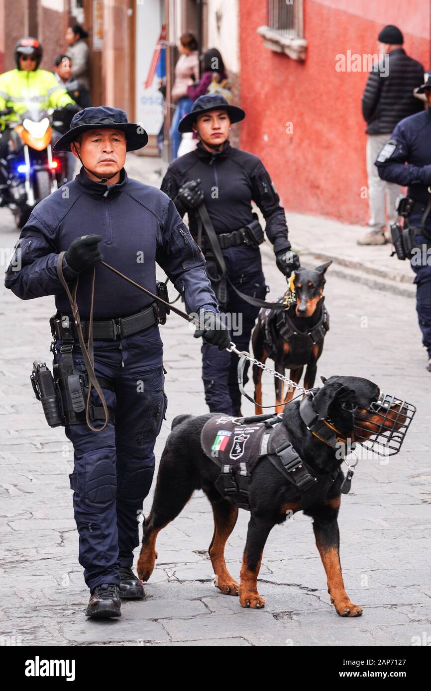 Mexican military hi-res stock photography and images - Alamy