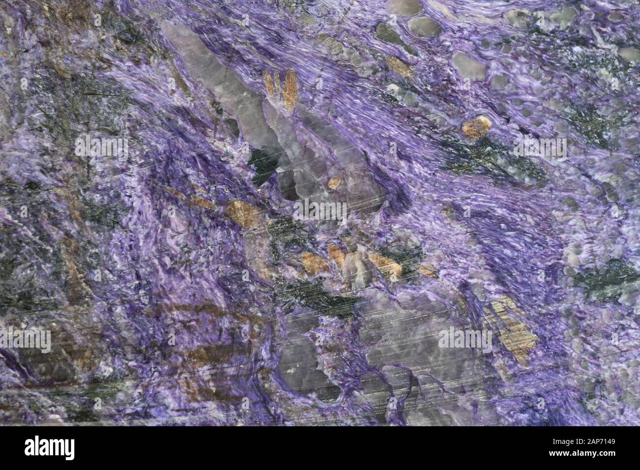 Texture of polished lilac unique Russian stone, charoite, with yellow ...