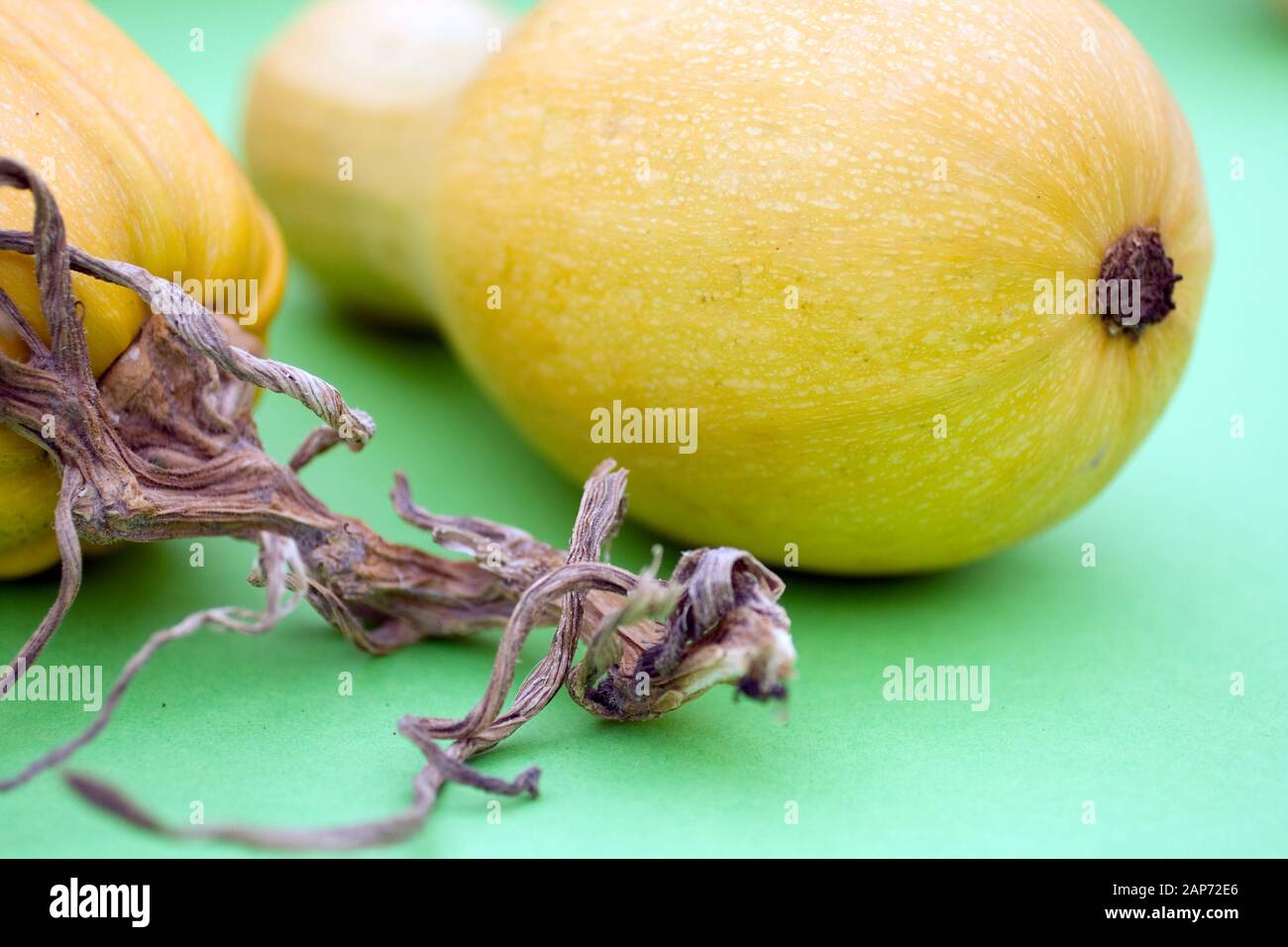 Butternut squash on green background Stock Photo - Alamy