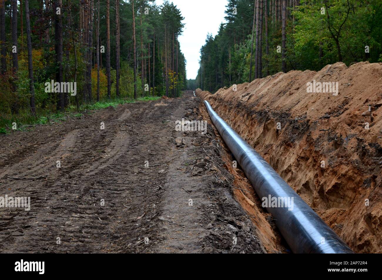 Natural gas pipeline construction work. A dug trench in the ground for ...