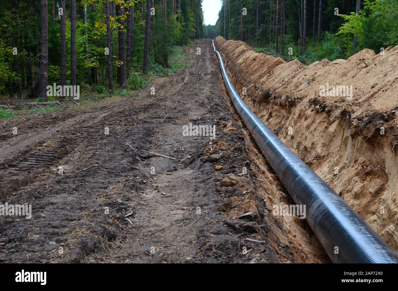 Natural gas pipeline construction work. A dug trench in the ground for ...