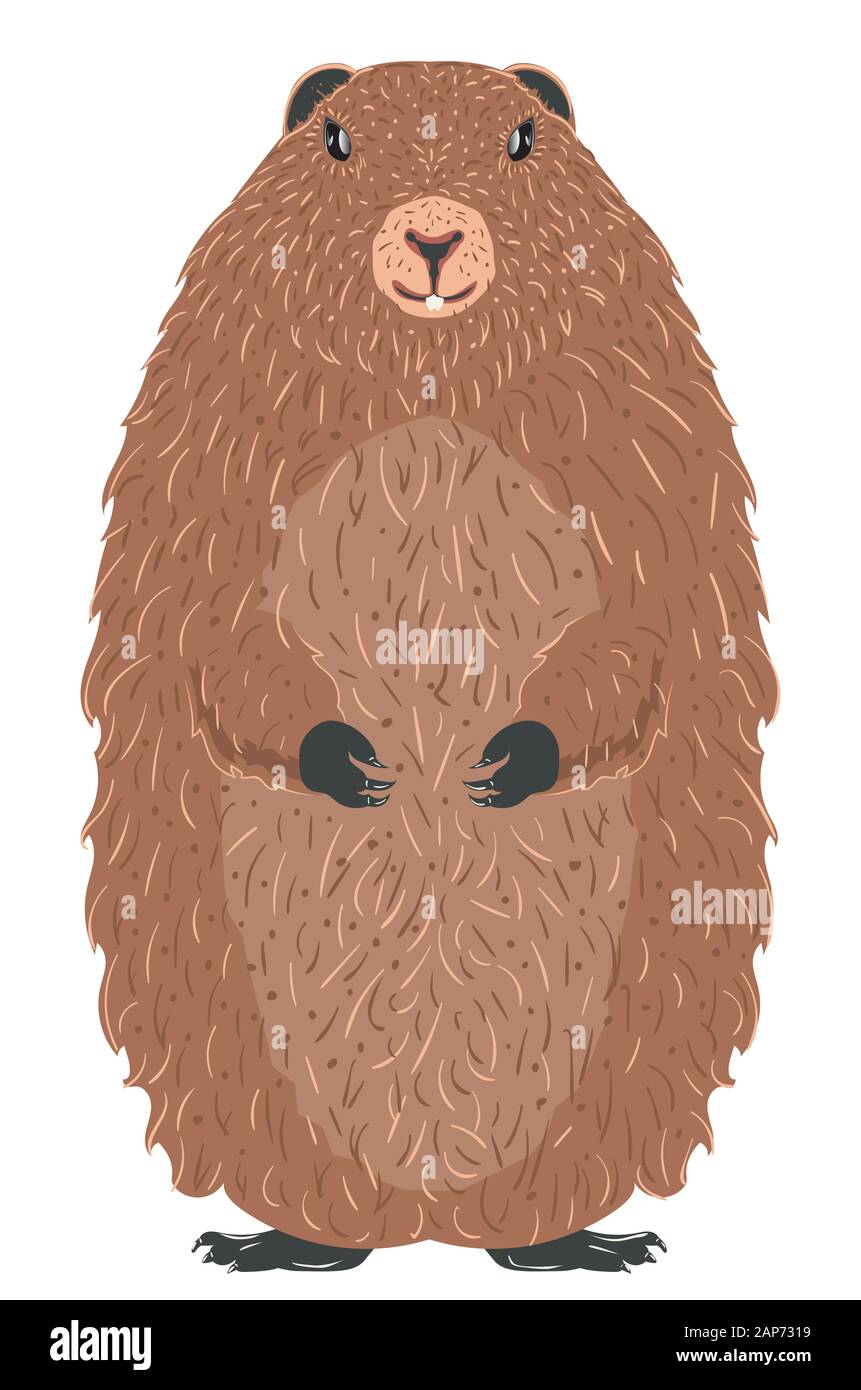 Detailed rodent Cut Out Stock Images & Pictures - Alamy