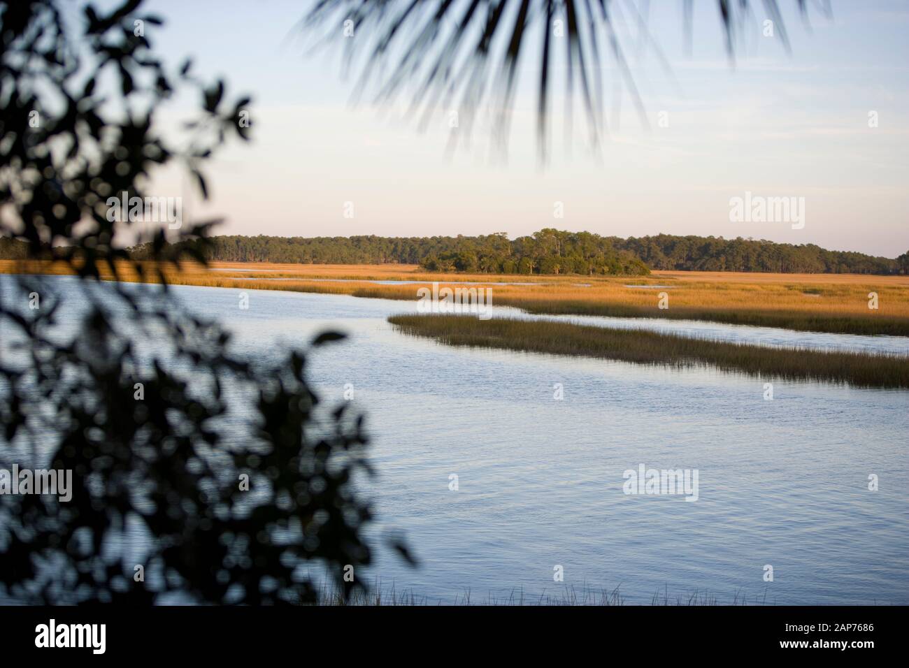 Reeds photographs hi-res stock photography and images - Alamy