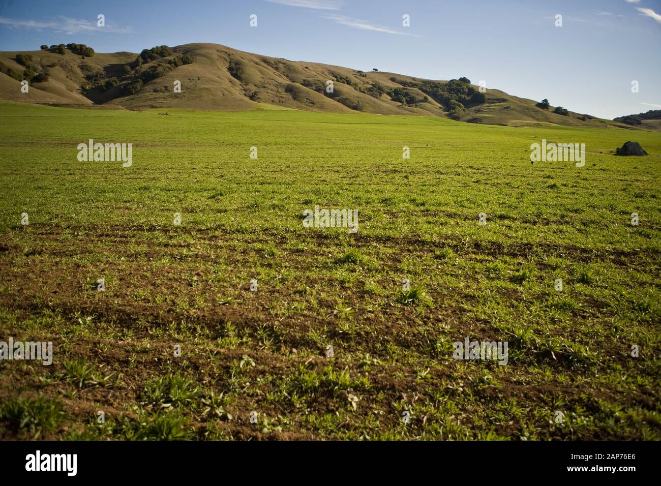 Field with hills in background Stock Photo - Alamy