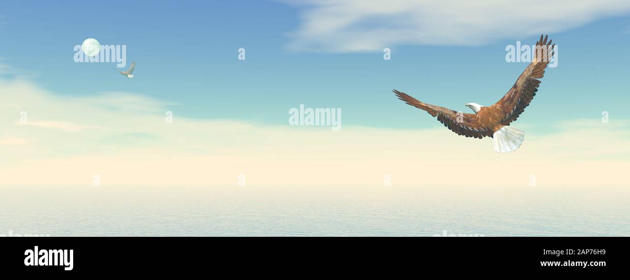 Free flying bald eagle hi-res stock photography and images - Alamy