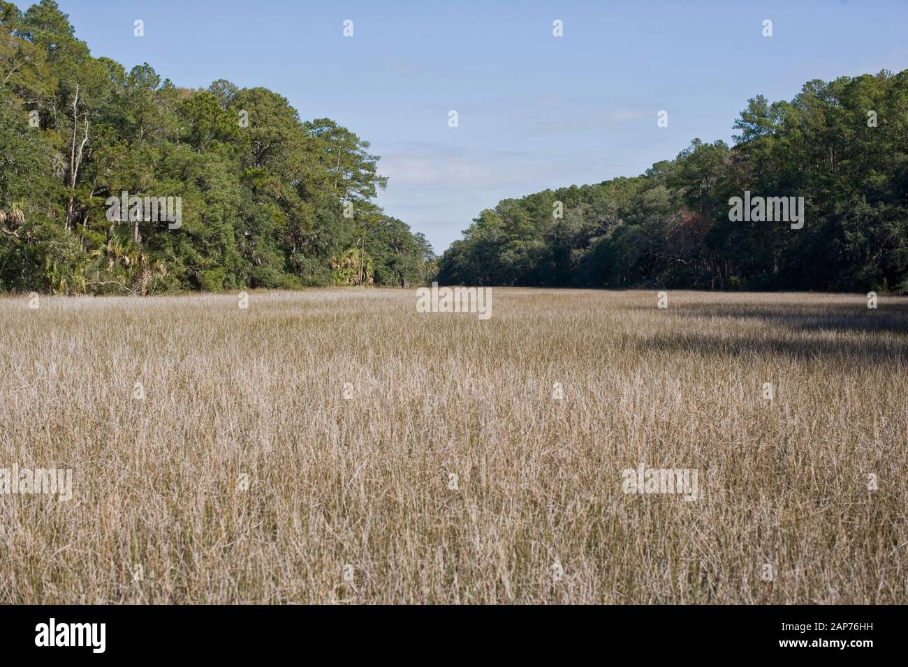 Grasslands and dry meadows hi-res stock photography and images - Alamy
