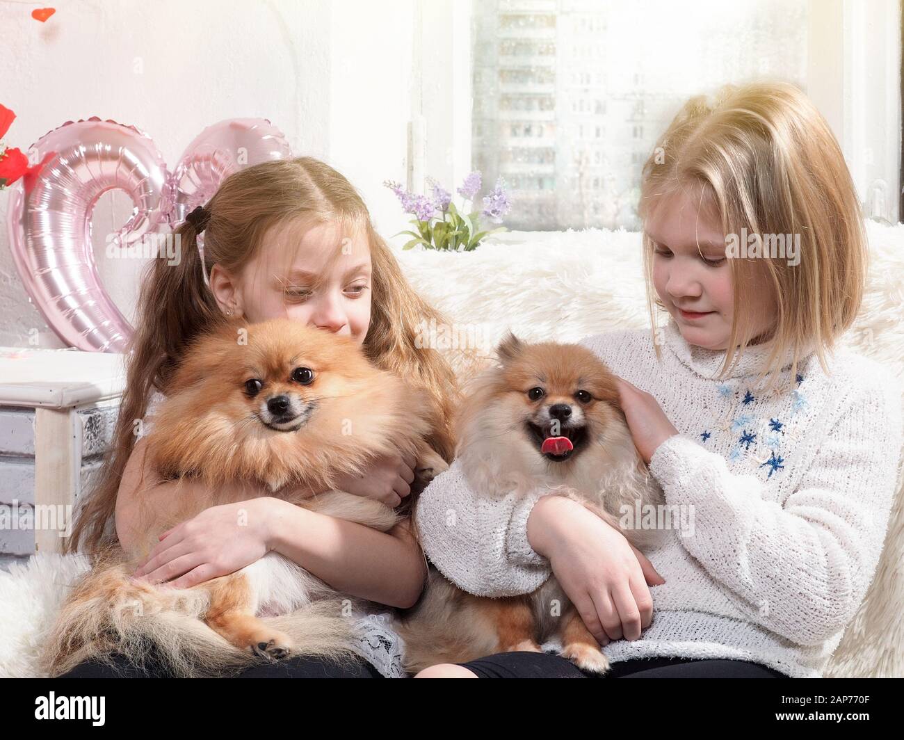 Children with Pomeranian dogs. Breeding dogs, the breed characteristics ...