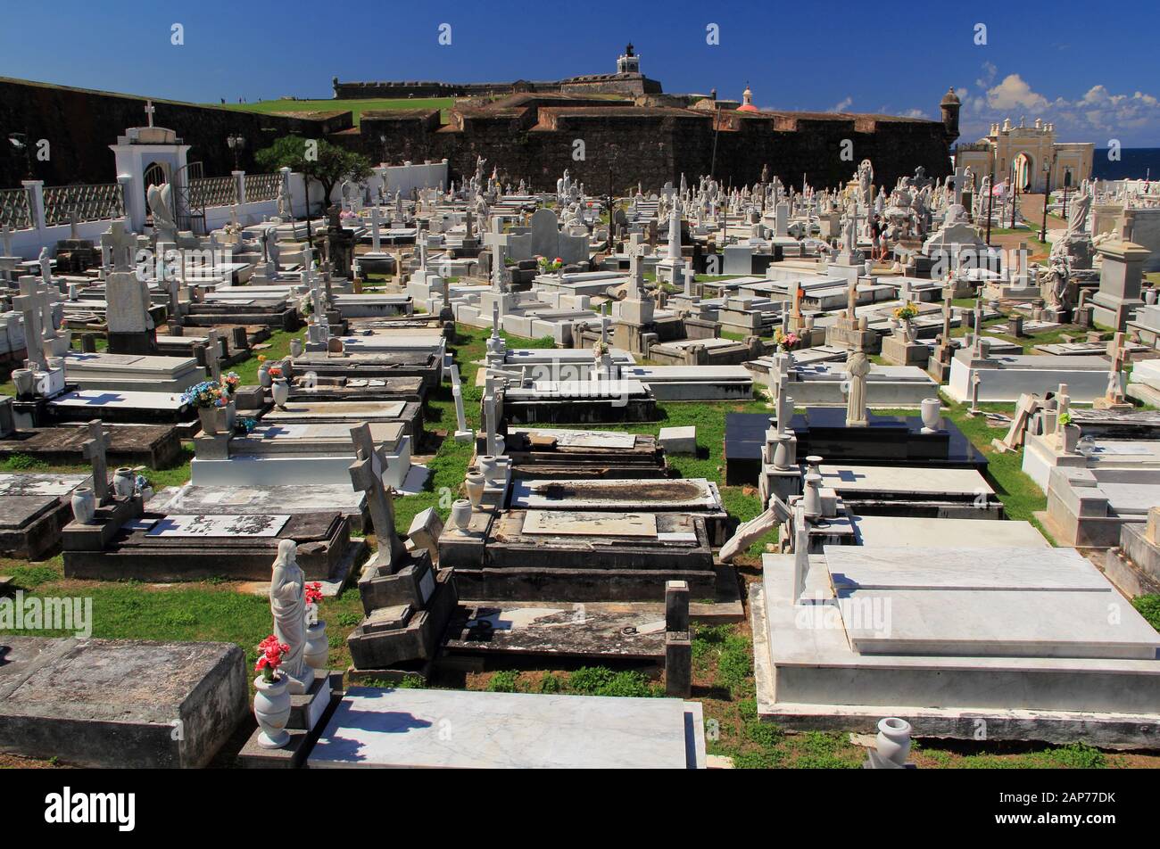Mary statue tombstone cemetery hi-res stock photography and images - Alamy