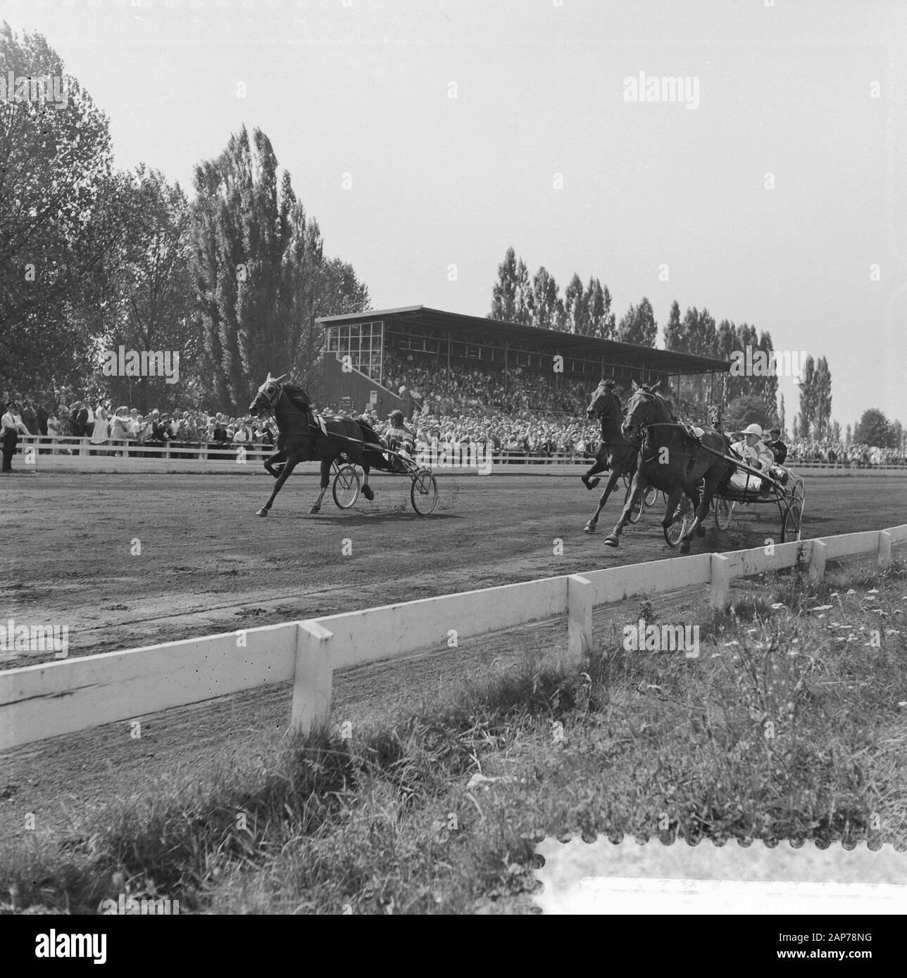Courses op Mereveld in Utrecht, finish of the first heat of Merevelds ...