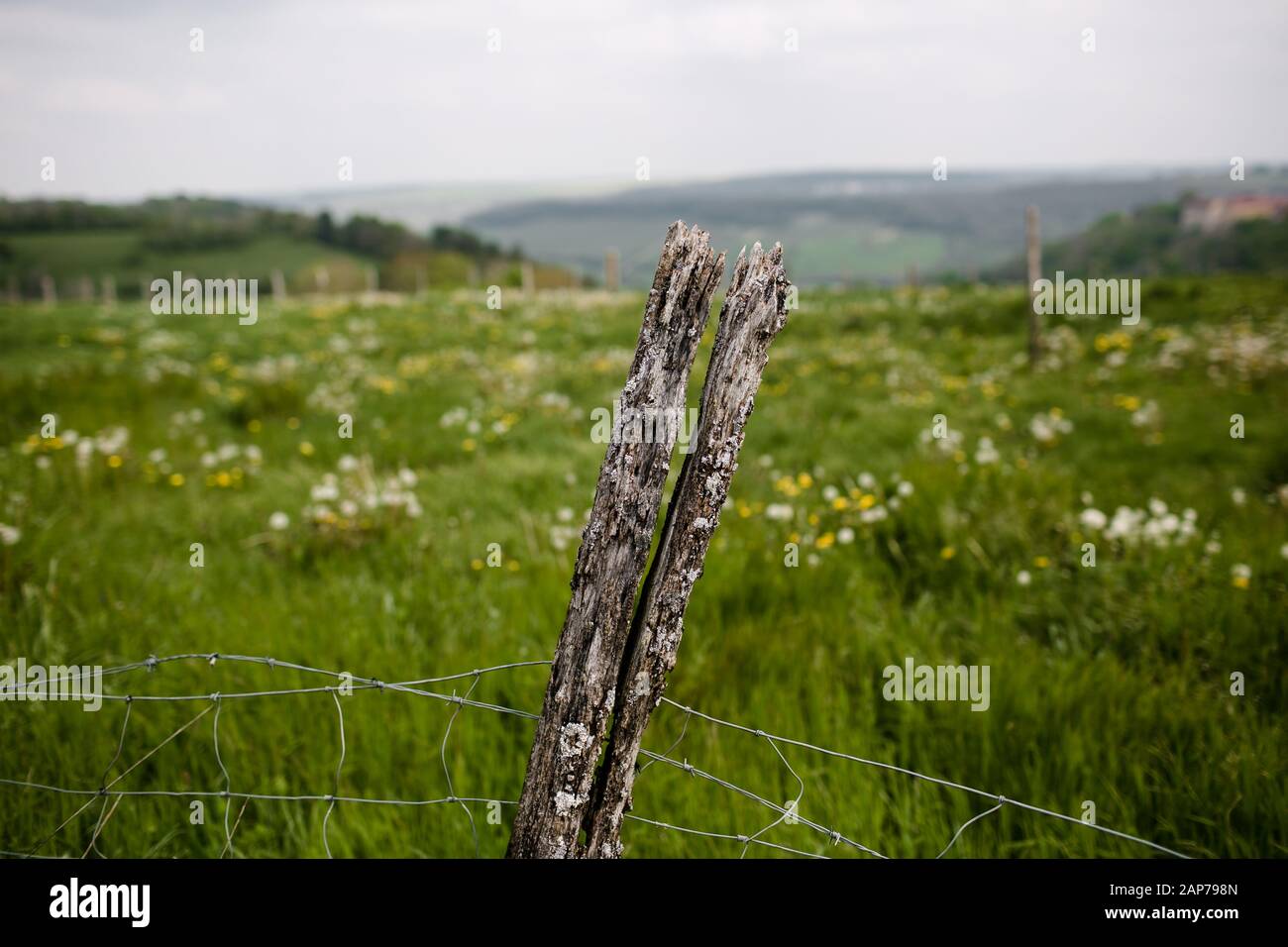 Split Fence Post in Flower Field in France Stock Photo - Alamy