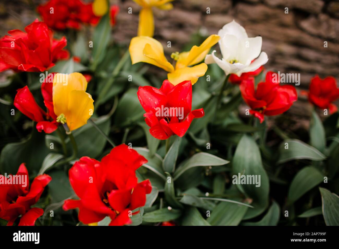 French countryside old villages hi-res stock photography and images - Alamy