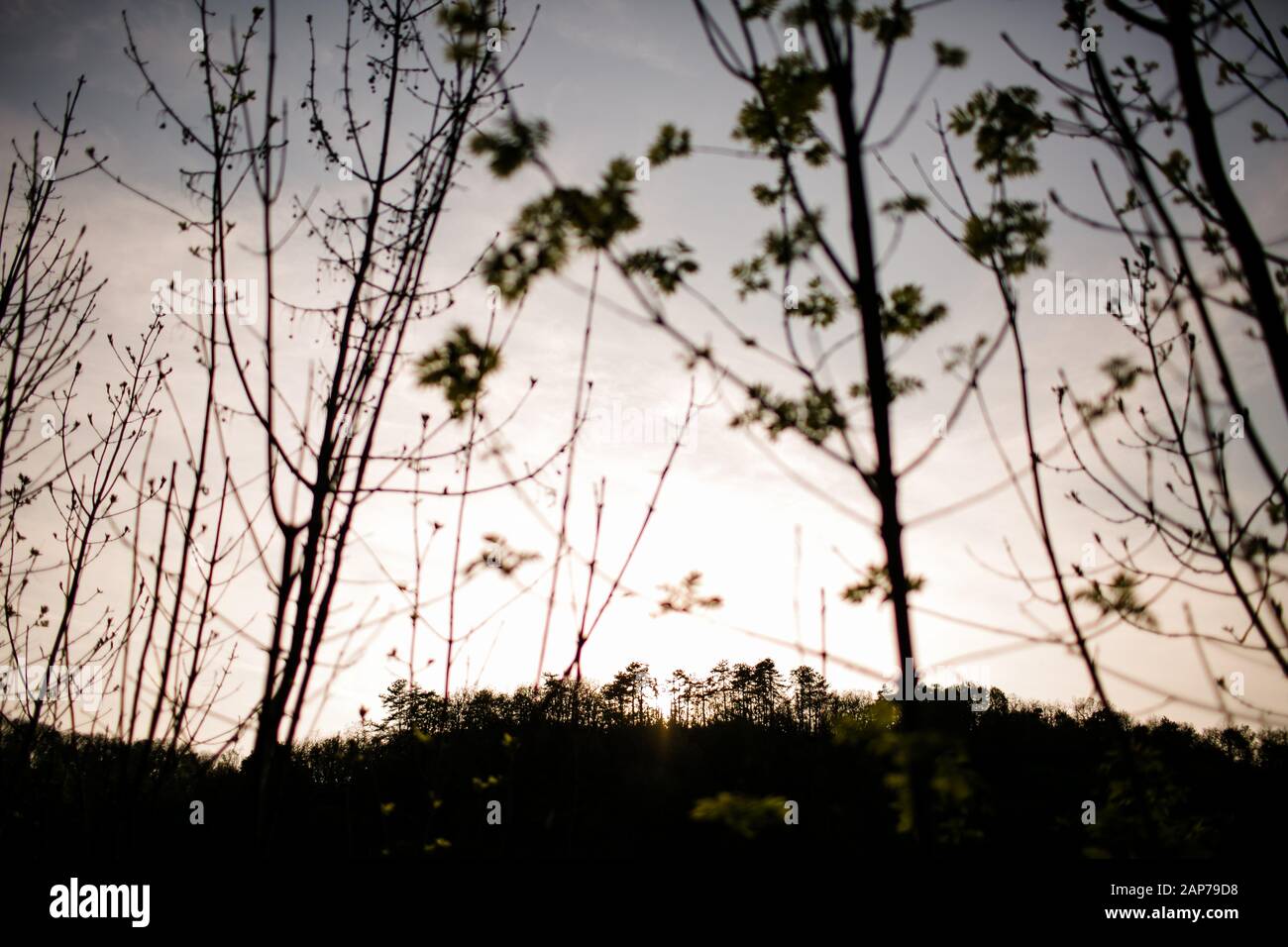 French countryside sunset spring hi-res stock photography and images ...