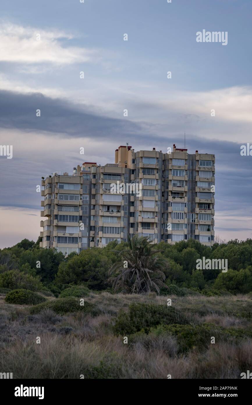 building emerging from the vegetation at sunset Stock Photo - Alamy