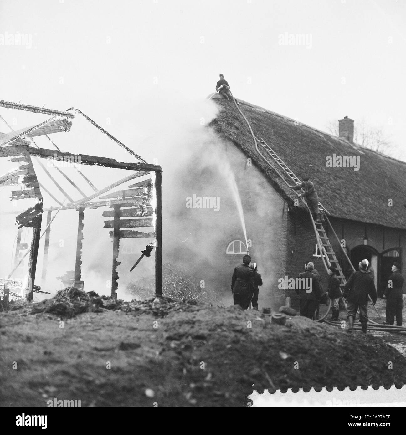 Farm incident hi-res stock photography and images - Alamy