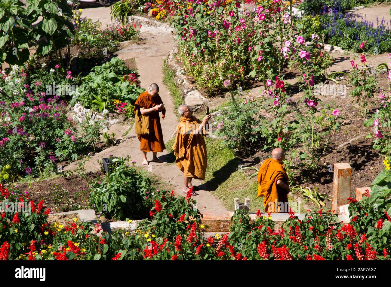Hmong village, Chiang Mai Thailand buddhist monks visiting Stock Photo ...