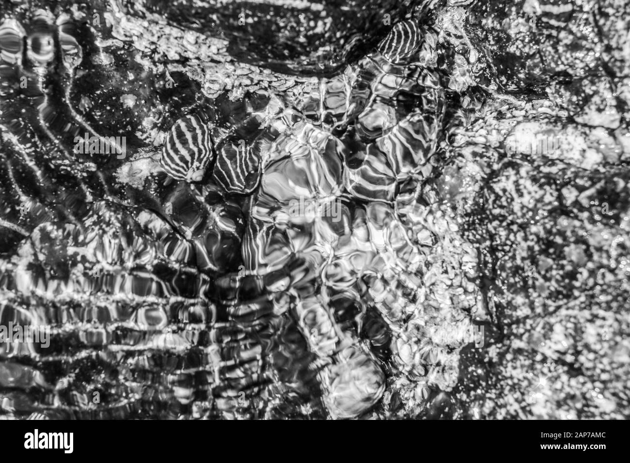 A black and white abstract pattern Stock Photo - Alamy