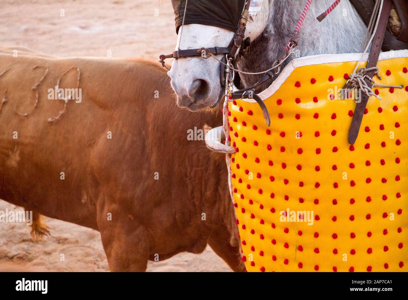 Triumph chopper hi-res stock photography and images - Alamy